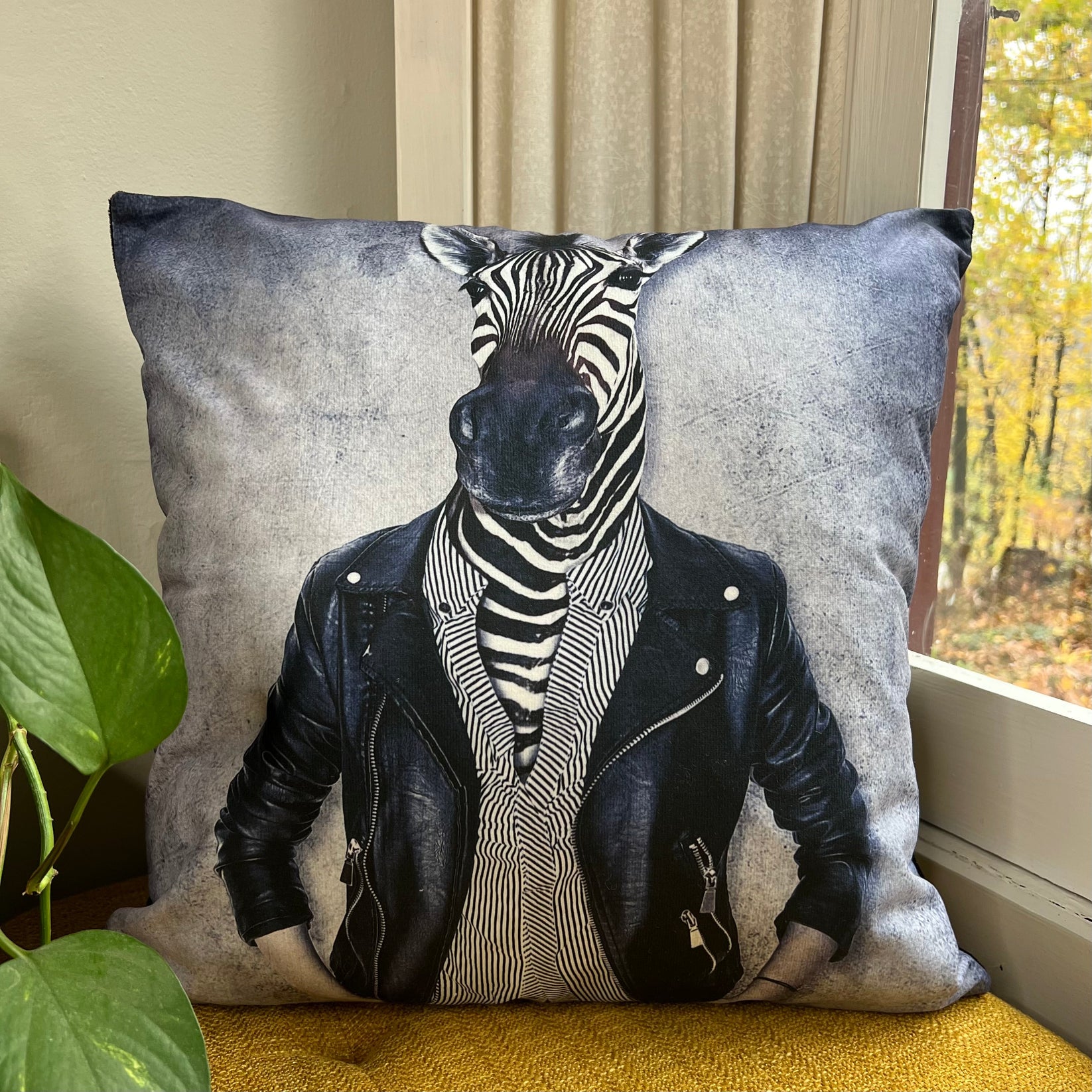 Zooty Zebra Zebra Pillow Cover – Quarter Moon Bazaar